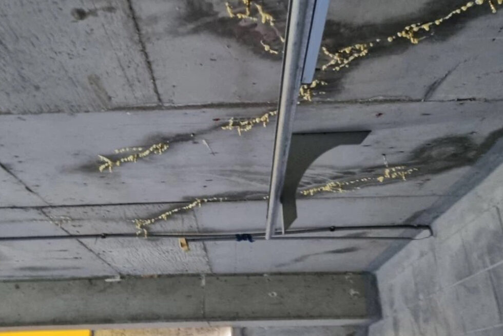 Licensed Rising Damp Treatment Brisbane & Gold Coast